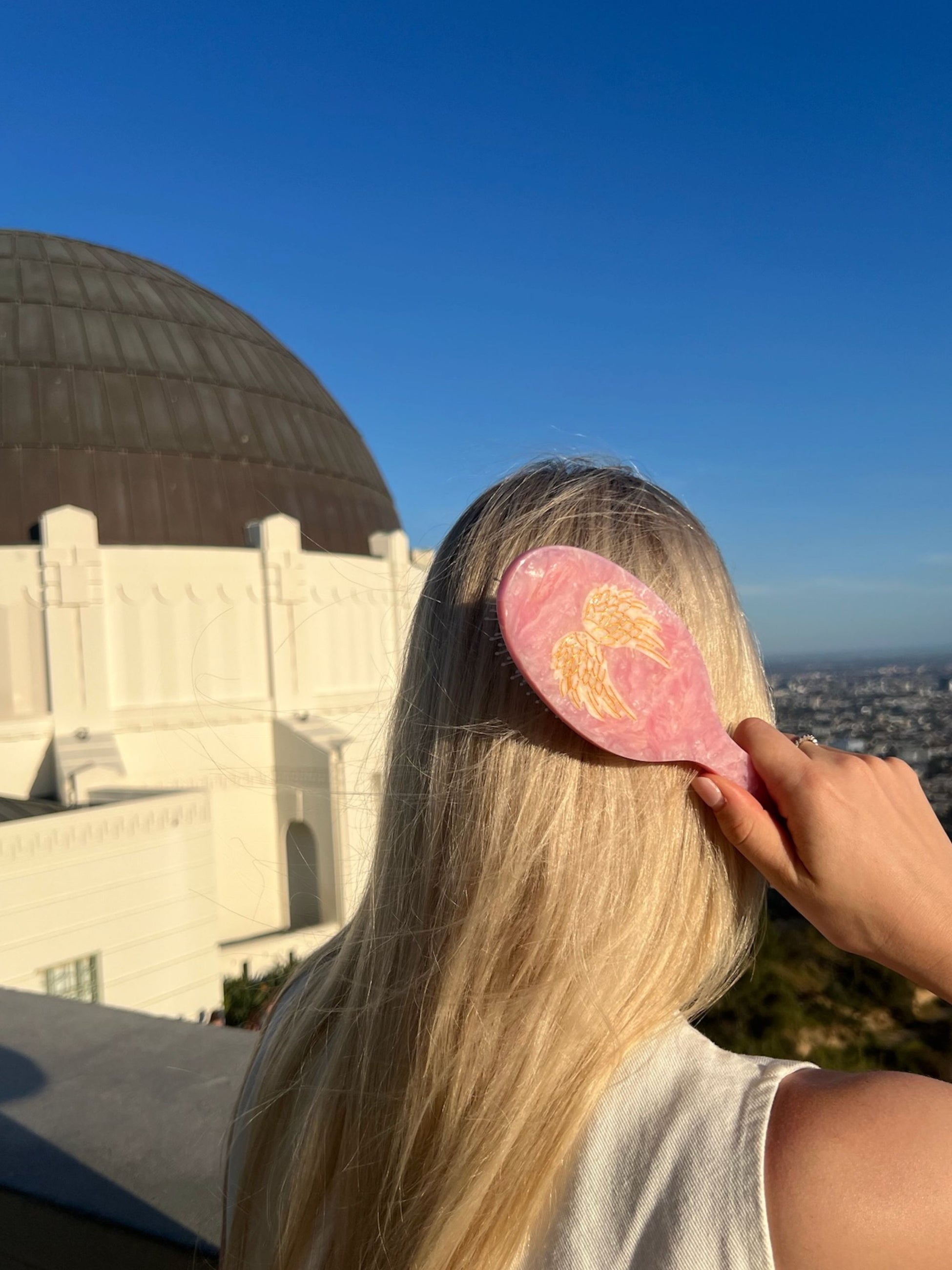 Hair Brushes – Solar Eclipse